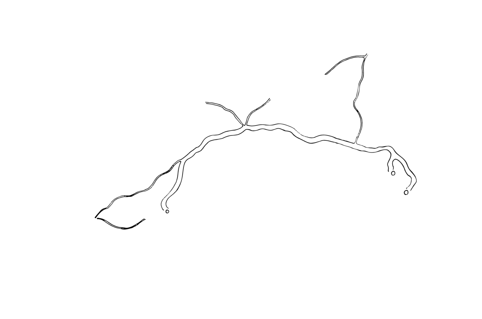 Visit Us - Beach House Devon